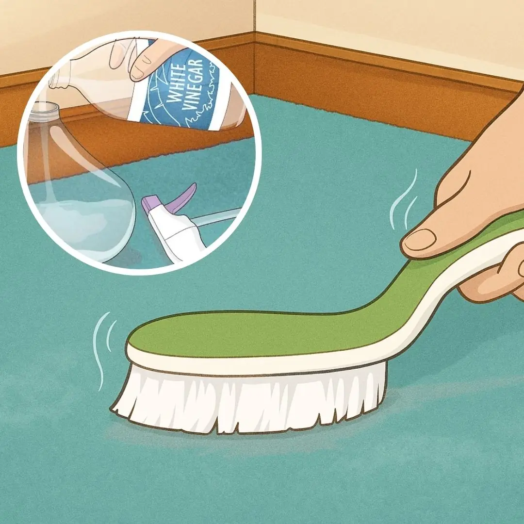 How to Wash Carpet by Hand: Deep Cleaning & Spot Cleaning